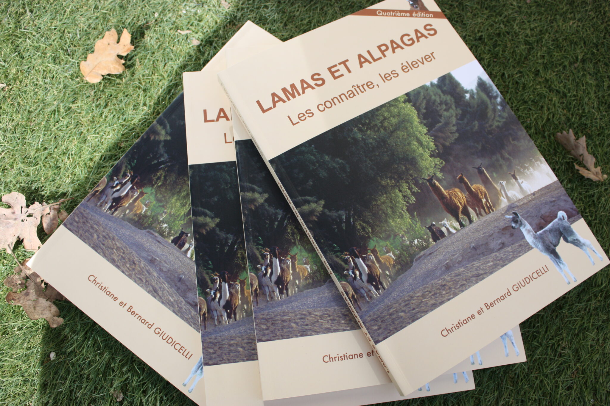 Livre lamas et alpagas de Christiane et Bernard GIUDICELLI ...
